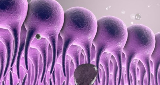 TRANSIL Membrane Affinity Kit – Sovicell